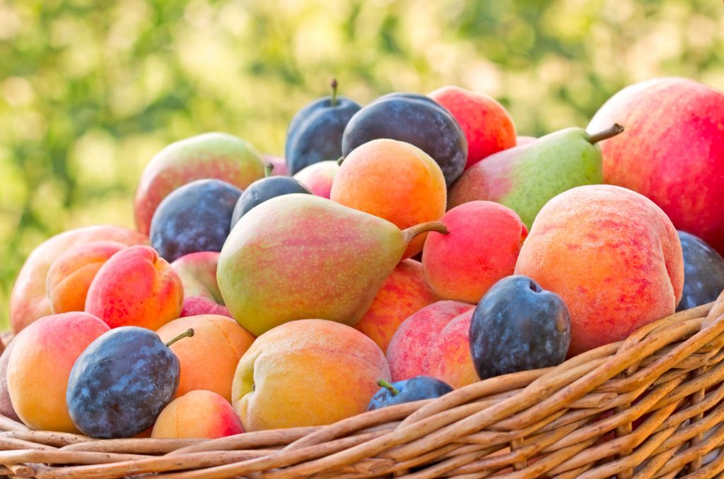 The forensic science challenge of tracking foreign objects in food - NZIAHS